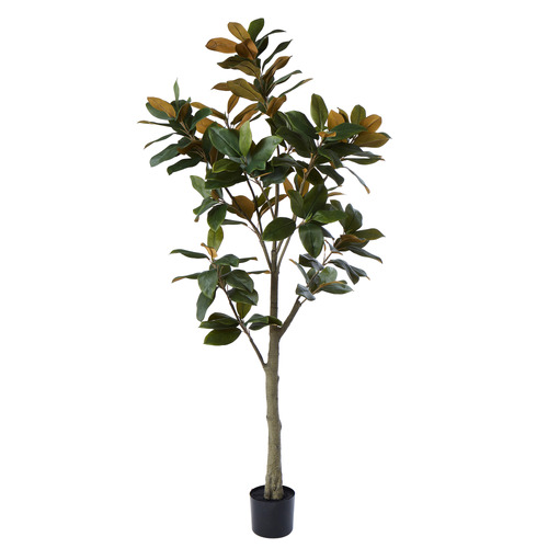183cm Potted Faux Magnolia Tree | Temple & Webster