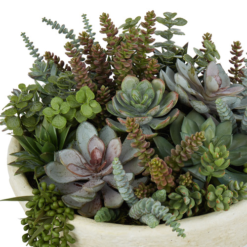 The Home Collective 37cm Faux Succulent with Cement Pot | Temple & Webster