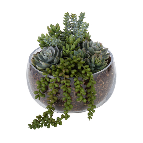 The Home Collective 27cm Faux Mixed Succulent with Glass Bowl | Temple ...