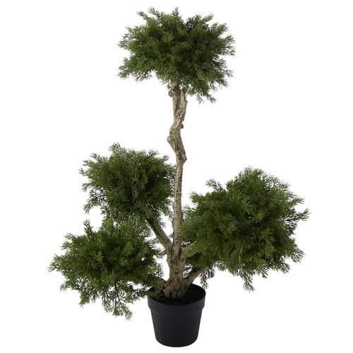 The Home Collective 90cm Potted Faux Cloud Pine Tree | Temple & Webster