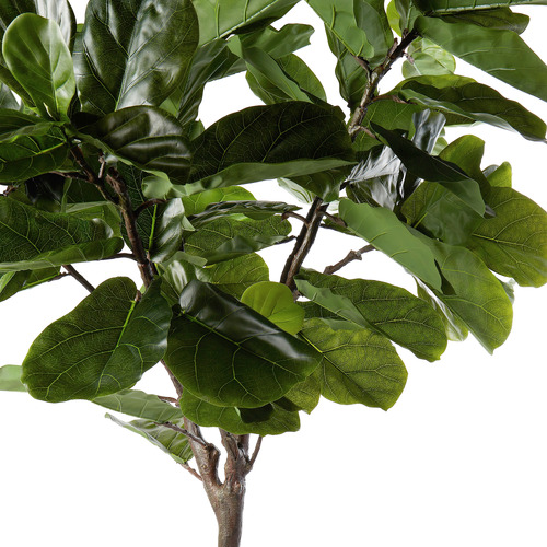 The Home Collective 270cm Potted Faux Fiddle Tree | Temple & Webster
