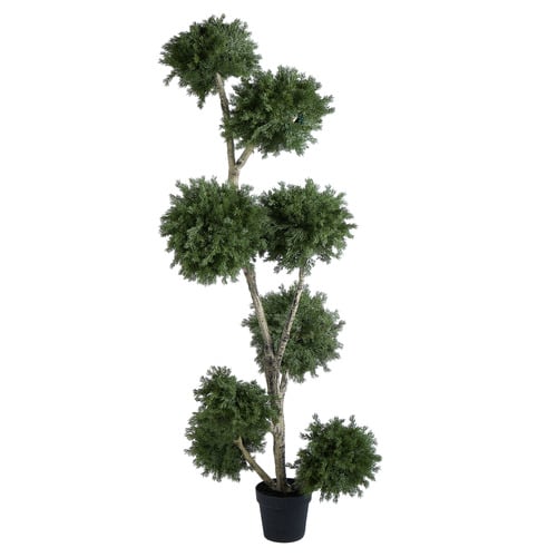 The Home Collective 180cm Potted Faux Cloud Pine Tree | Temple & Webster