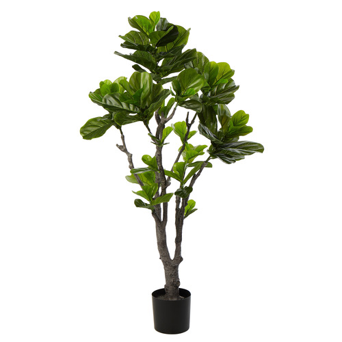 150cm Potted Faux Fiddle Tree | Temple & Webster