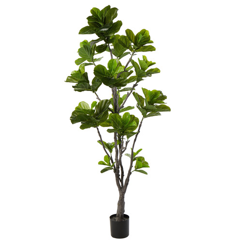 210cm Potted Faux Fiddle Tree | Temple & Webster