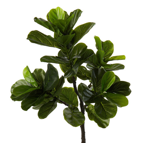 150cm Green Potted Faux Fiddle Tree | Temple & Webster