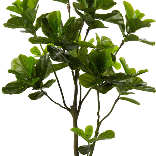 190cm Potted Faux Fiddle Tree | Temple & Webster