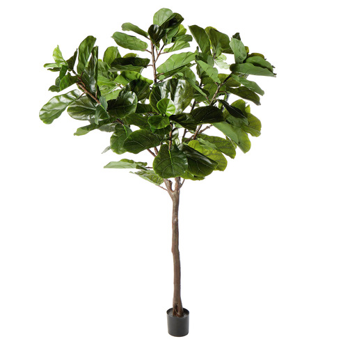 The Home Collective 270cm Potted Faux Fiddle Tree | Temple & Webster