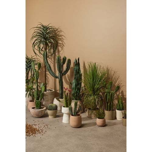 The Home Collective Elijah Ceramic Tub Pot | Temple & Webster