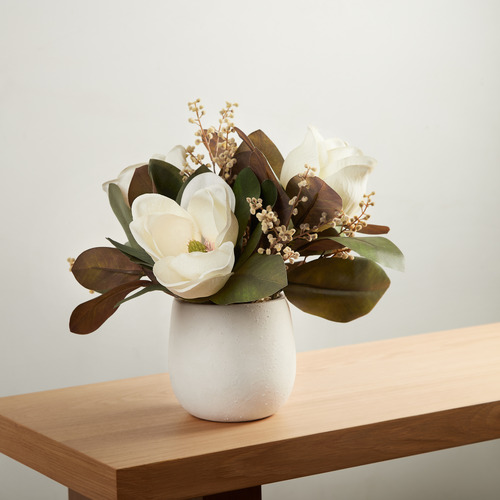 The Home Collective 38cm Potted Faux Magnolia Willow Mixed Arrangement ...