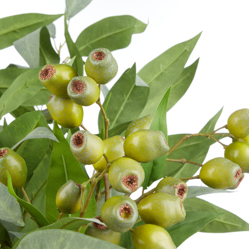 65cm Faux Mixed Native Banksia & Gum Nut with Vase | Temple & Webster