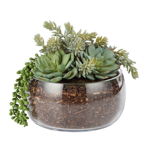 The Home Collective 27cm Faux Mixed Succulent with Glass Bowl | Temple ...