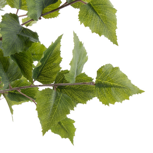 154cm Potted Faux Silver Birch Tree | Temple & Webster