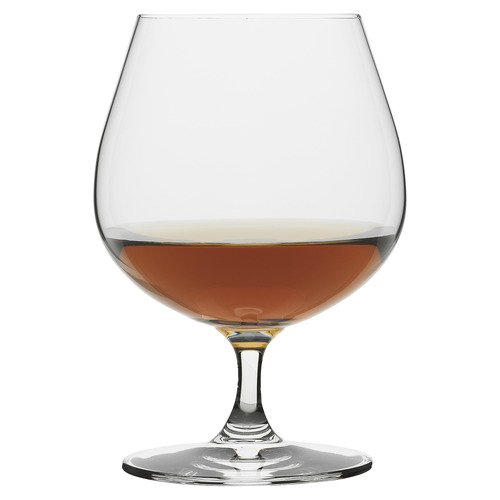 Classic 400ml Brandy Glasses | Temple & Webster