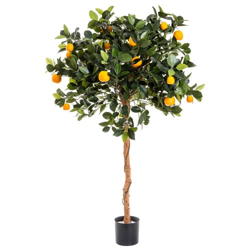 90cm Golden Orange Tree | Temple & Webster