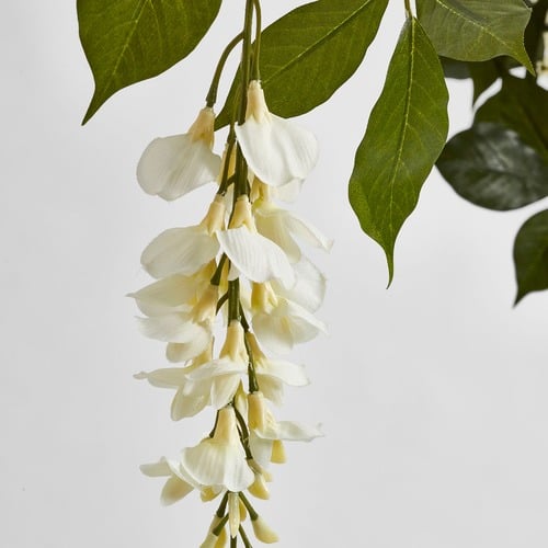 BayviewLiving 190cm Wisteria Tree White | Temple & Webster