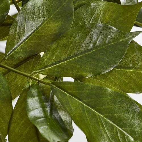 BayviewLiving 190cm Wisteria Tree White | Temple & Webster