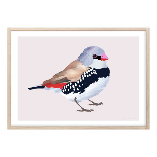 Diamond Firetail Finch Printed Wall Art | Temple & Webster