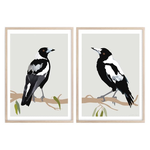 magpie wall display