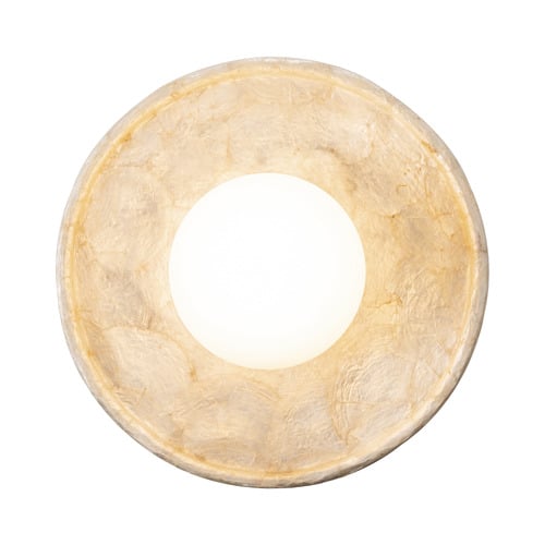 Temple & Webster Riley Capiz Shell Wall Sconce