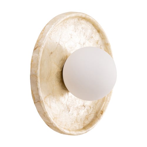 Temple & Webster Riley Capiz Shell Wall Sconce