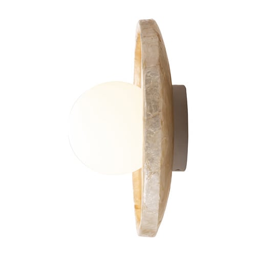 Temple & Webster Riley Capiz Shell Wall Sconce