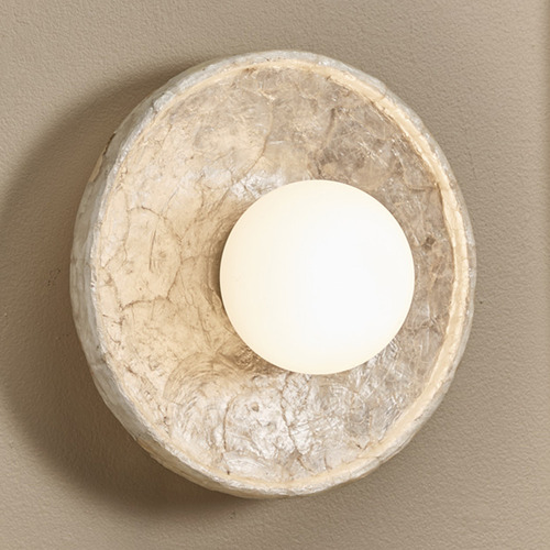 Temple & Webster Riley Capiz Shell Wall Sconce