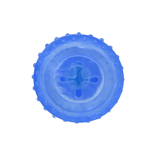 Blue Freezy Dumbbell Dog Toy | Temple & Webster