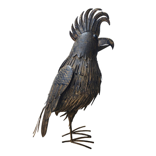 Rustic Cockatoo Garden Statue | Temple & Webster