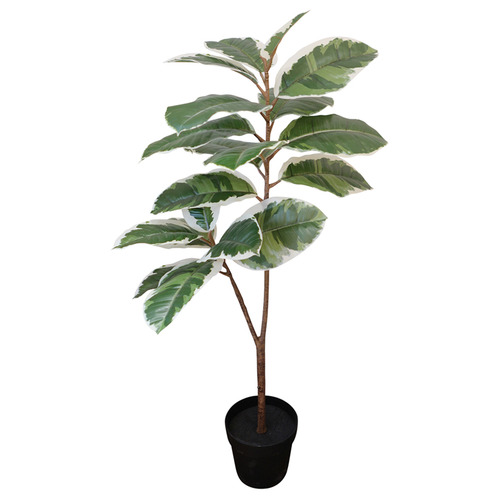 118cm Potted Faux Rubber Leaf Tree | Temple & Webster