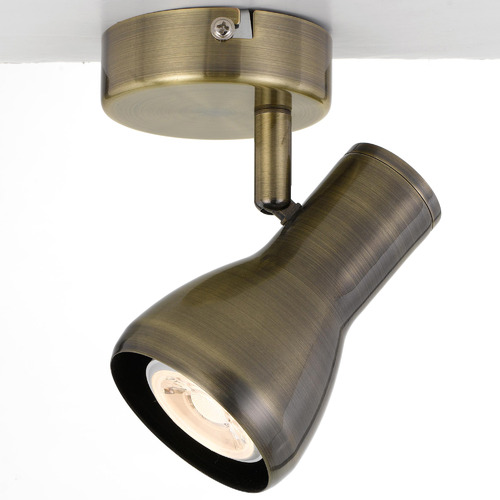 Bright Sea Lighting Dobry 1 Light Iron Spotlight | Temple & Webster