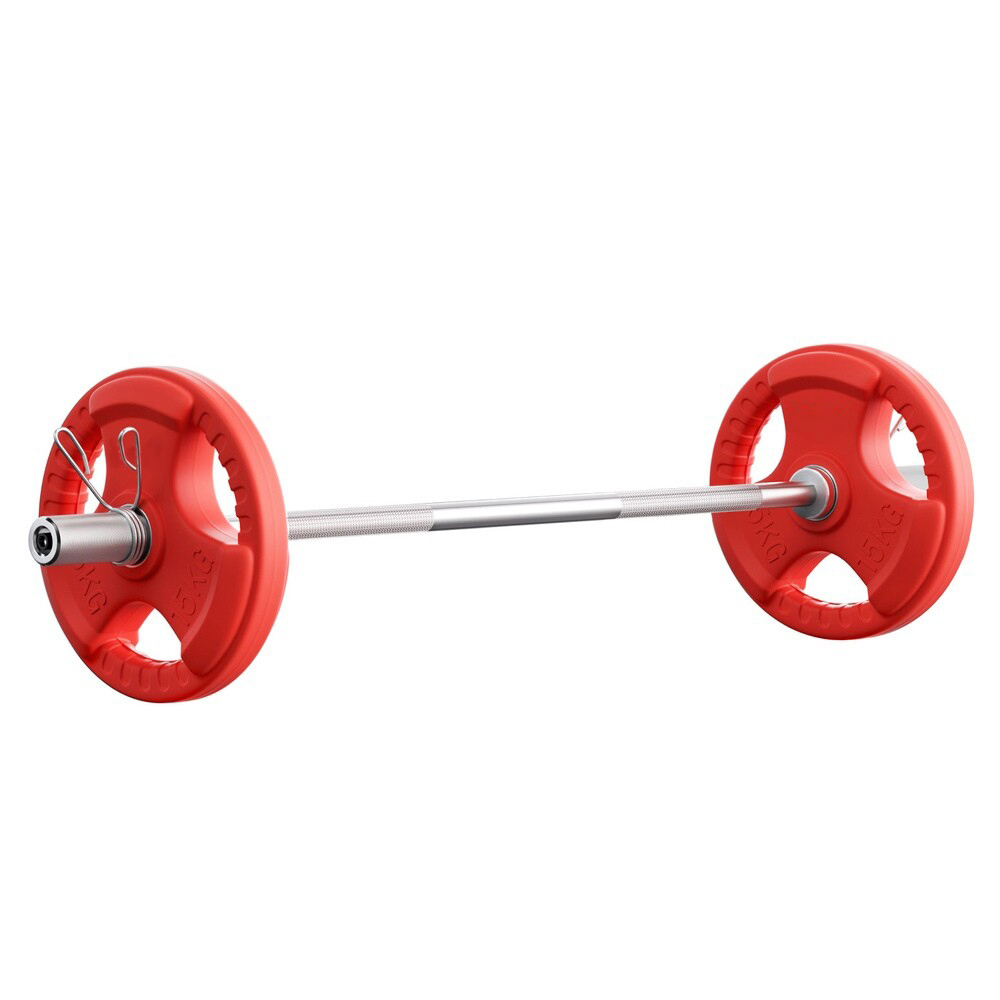 Orson 36kg Barbell | Temple & Webster
