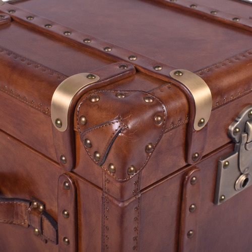 Chartwell Home Jeremiel Aged Cowhide Storage Trunk | Temple & Webster