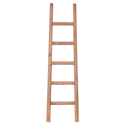 Paviel Recycled Elm Wood Decorative Ladder | Temple & Webster