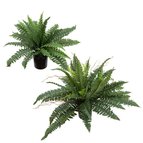 GlamorousFusion 2 Piece Potted Faux Boston Fern Set | Temple & Webster