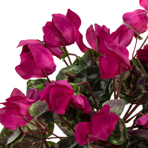 pollen&fauna 34cm Fuchsia Potted Faux Cyclamen Plant | Temple & Webster