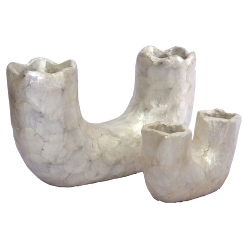 LaAbode 2 Piece Pearl Horn Capiz Shell Vase Set | Temple & Webster