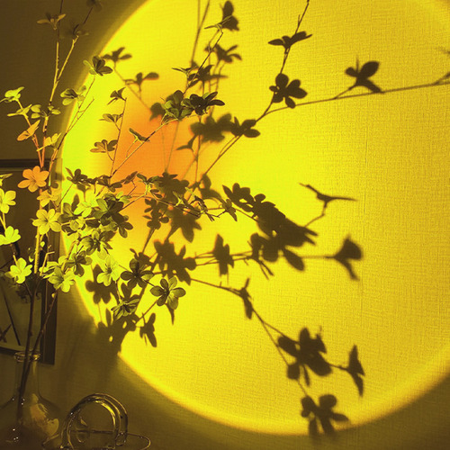 Oakleigh Home Yana LED Projection Lamp | Temple & Webster