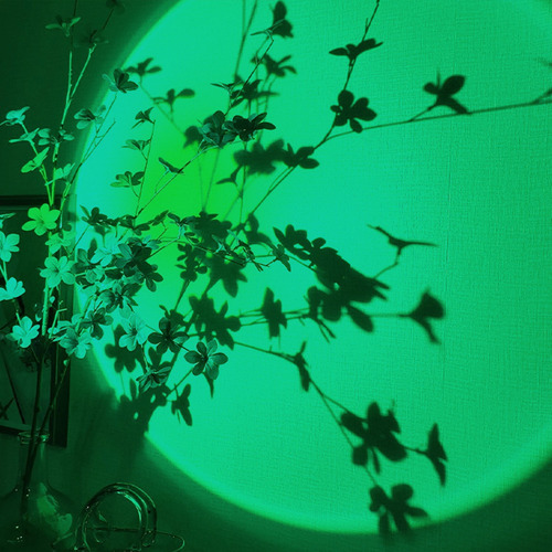 Oakleigh Home Yana LED Projection Lamp | Temple & Webster