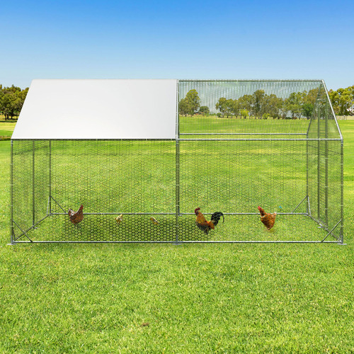 Oakleigh Home Ismare Walk-in Chicken Coop | Temple & Webster