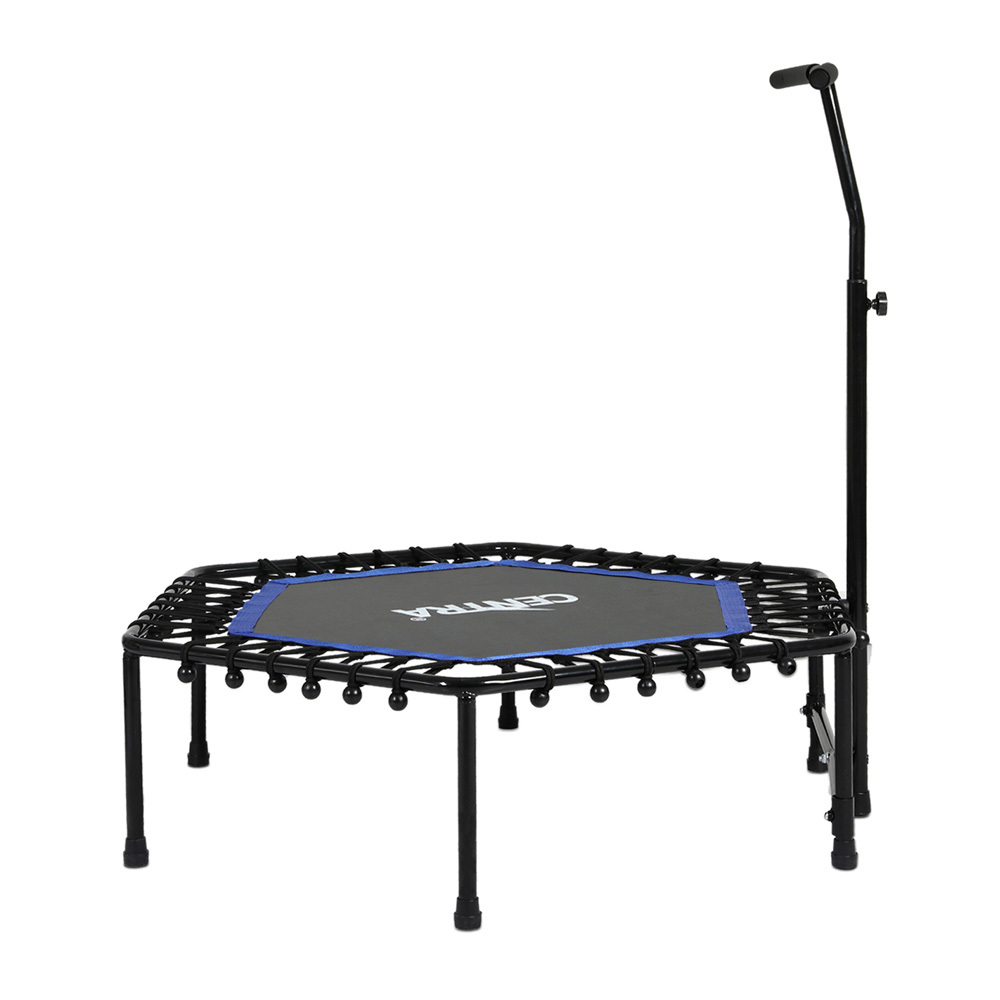 Oakleigh Home Xerian Mini Fitness Trampoline with Handle | Temple & Webster