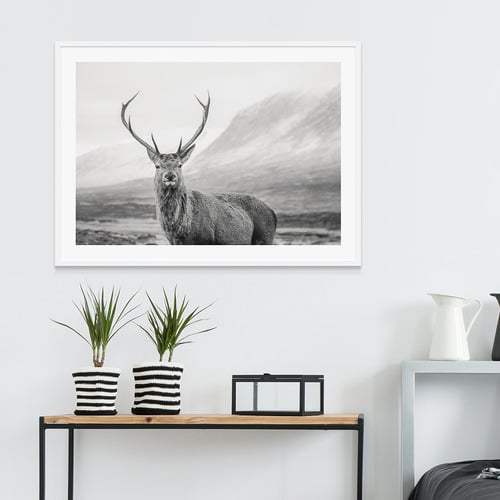 Le Concept Art Wild Stag Framed Print | Temple & Webster
