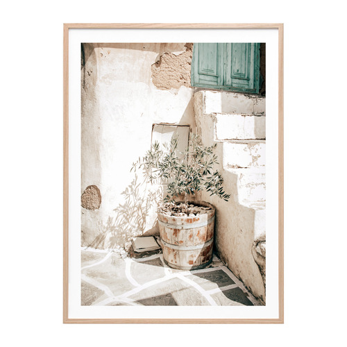 Le Concept Art Olive Tree Framed Paper Print Wall Art | Temple & Webster