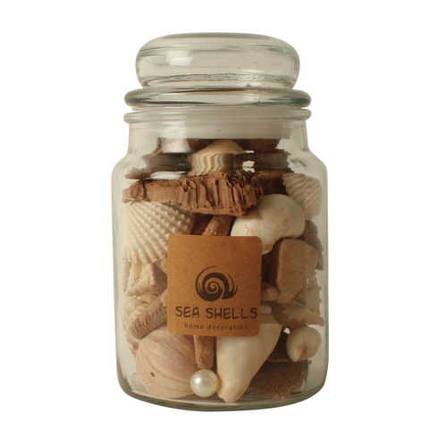 Papaya&Patina Shells & Dry Decorative Ornament | Temple & Webster