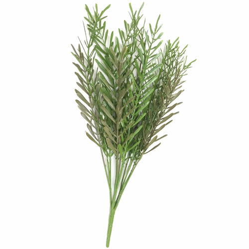 45cm Native Tea Tree Stems | Temple & Webster