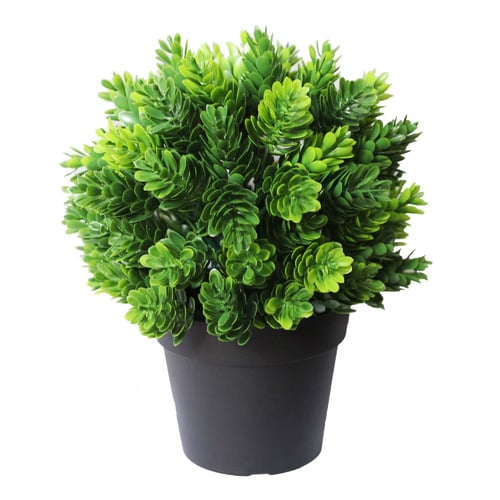 20cm Potted Faux Flowering Hop Plant | Temple & Webster