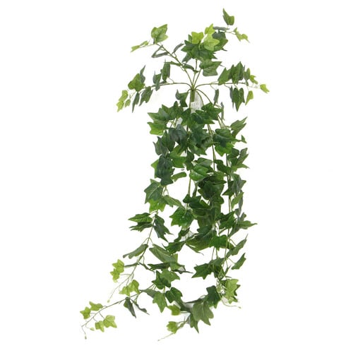 BotanicArtisan 90cm Faux Ivy Hanging Bush | Temple & Webster