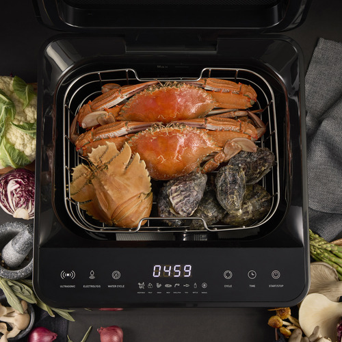 Deluxe Ultrasonic Food Purifier & Cleaner | Temple & Webster