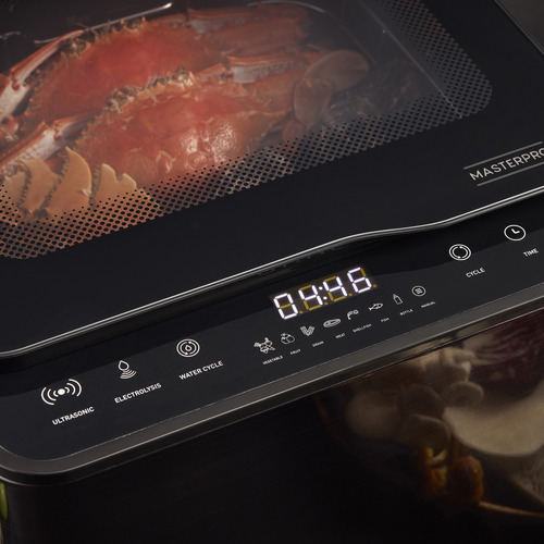 Deluxe Ultrasonic Food Purifier & Cleaner | Temple & Webster