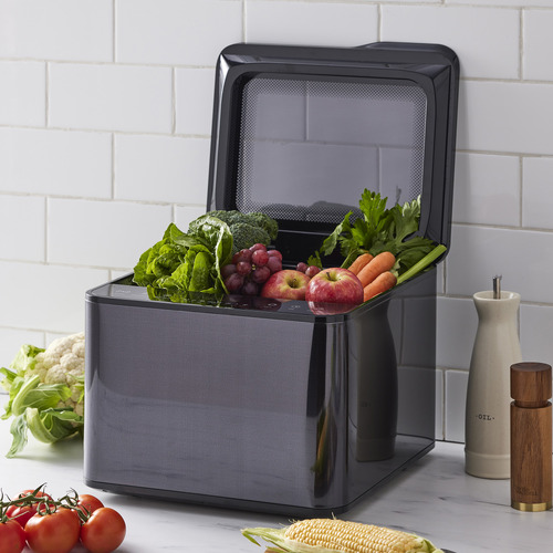 Deluxe Ultrasonic Food Purifier & Cleaner | Temple & Webster