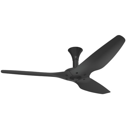 152 Black Haiku I Low Profile Mount DC Ceiling Fan | Temple & Webster